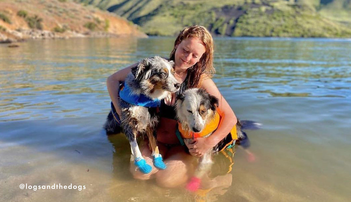 The Paw-fect Summer Fashion Must-Haves! – wagwear