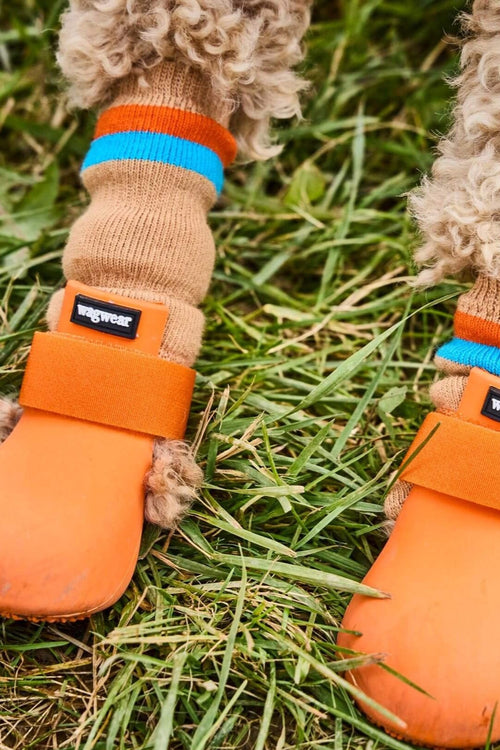 WagWellies® by wagwear