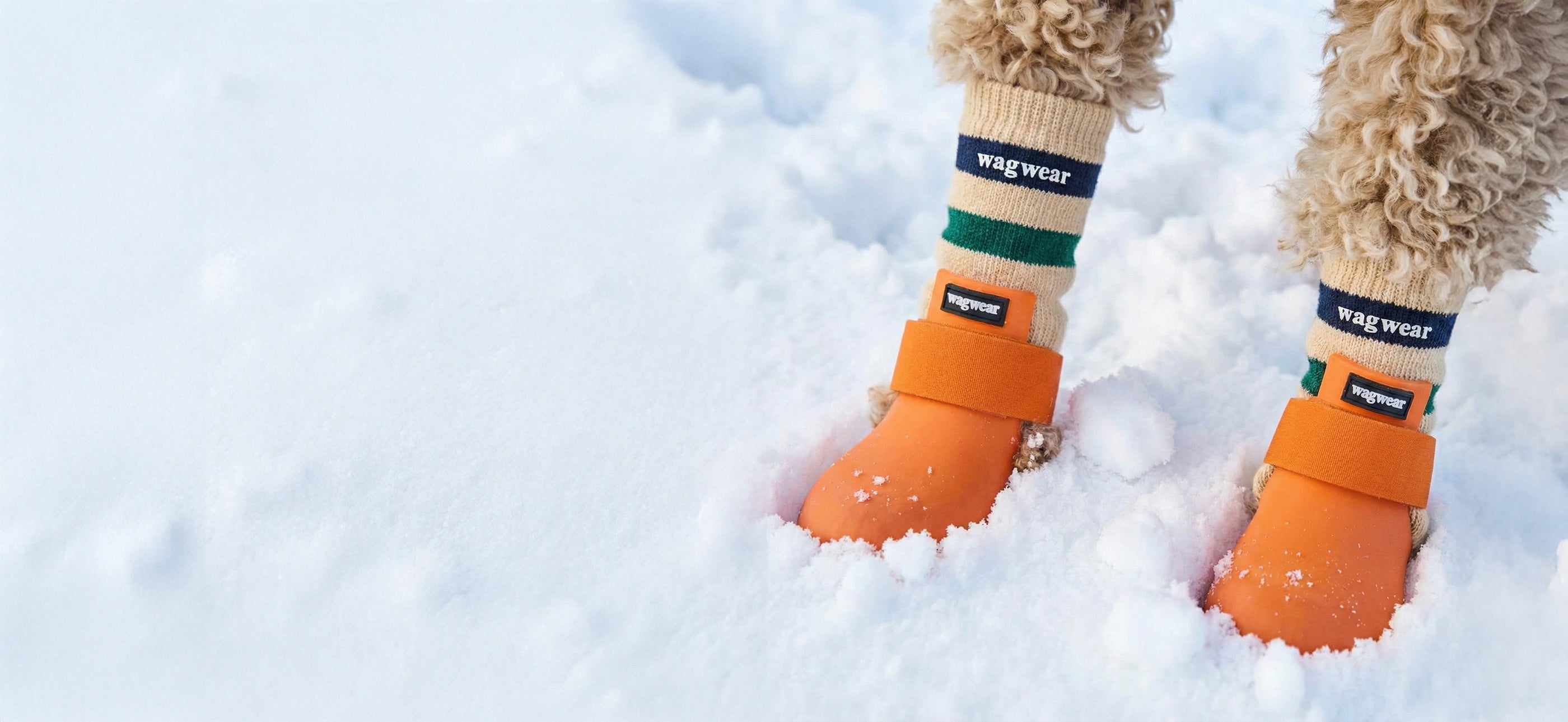 wagwear - Fashion & Style for the Design-Minded Dog.