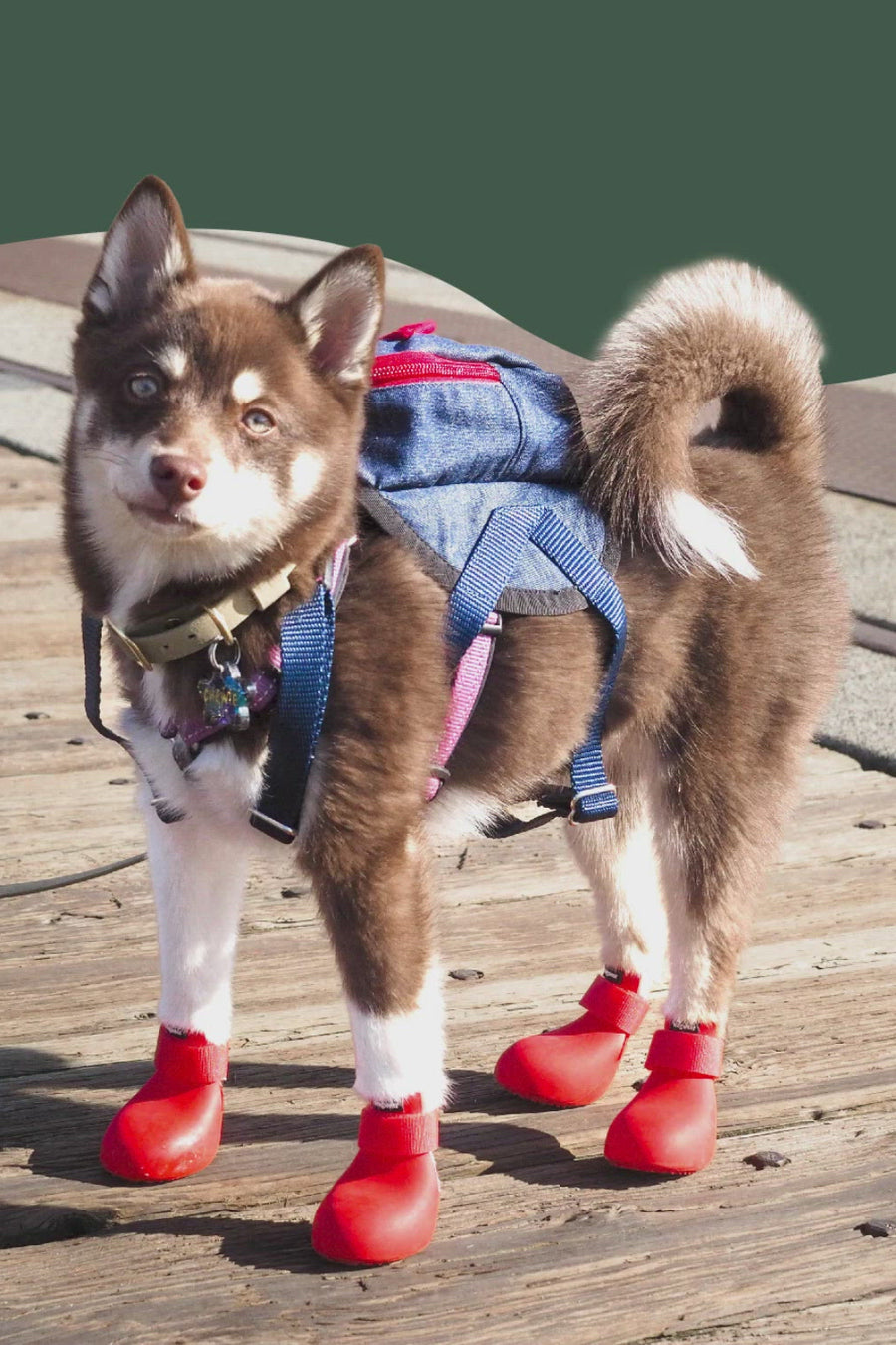 WagWellies® by wagwear